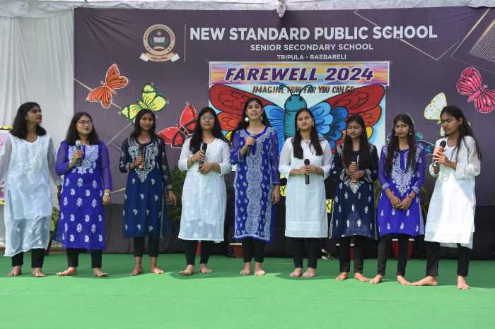 New Standard Group Of School And Colleges - Raebareli - India - NSPS