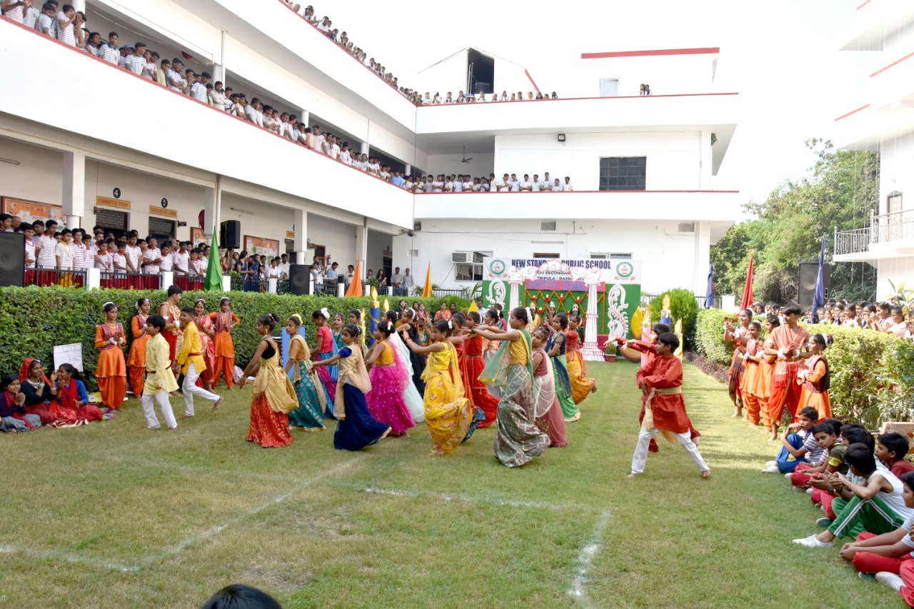 New Standard Group Of School And Colleges - Raebareli - India - NSPS